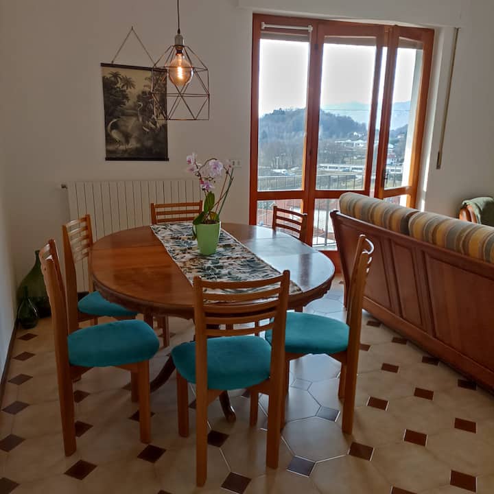 La Selva,  Lac De Stresa Et D'orta - Omegna