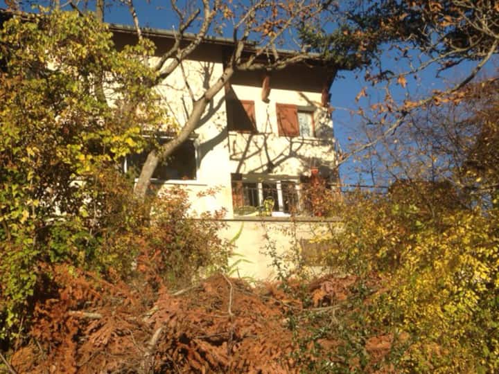 Maison Familiale Rustique Tout Confort - Gap