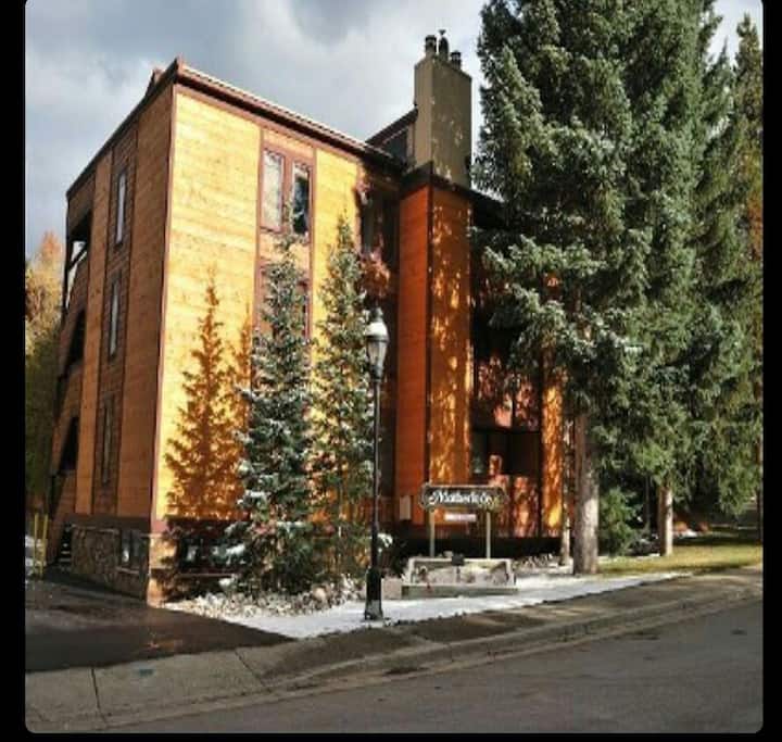 Beautiful Breckenridge Condo - Breckenridge, CO