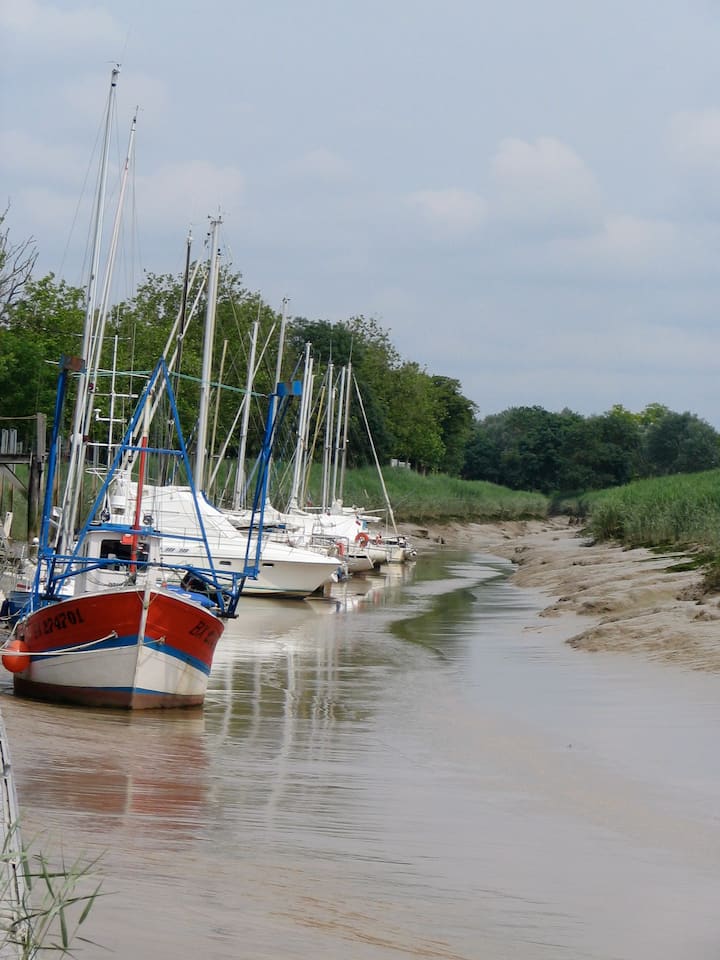 Appartement Près De L'estuaire De Gironde - Mirambeau