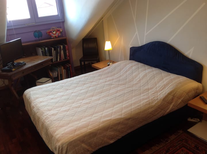 Centralissima Mansarda - Turin