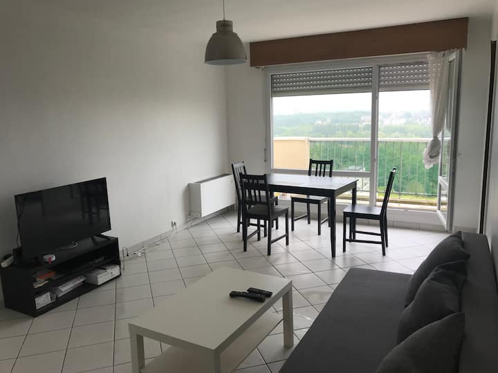 F4 3 Ch Refait à Neuf Avec Une Belle Vue - Cergy