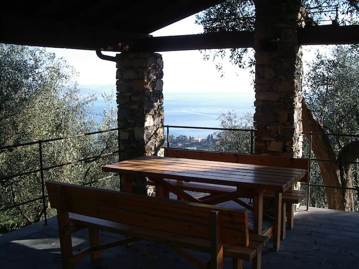 Country House With Pool "Ulivi Nel Blu" - Portofino