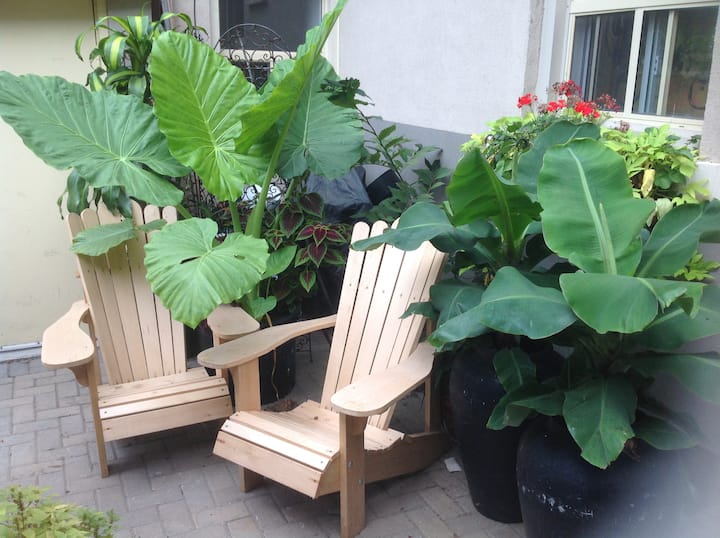 One Bedroom Apt Near Subway - Toronto