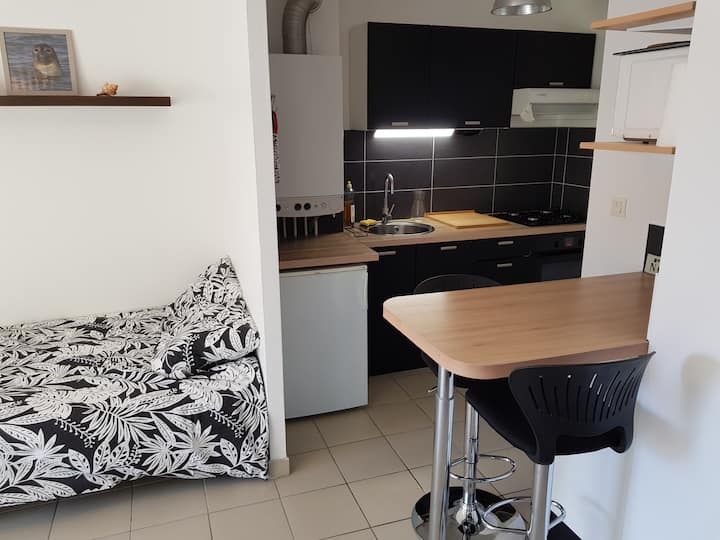 Studio Avec Balcon à Deux Pas Des Phoques De Berck - Berck