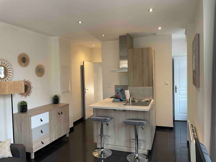 Le Palais Appartement Hyper Centre Metz - Woippy