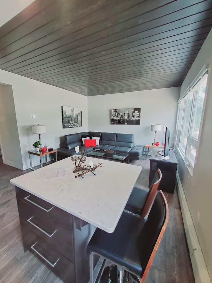 Clean, Stylish Condo Downtown Saskatoon - Saskatoon