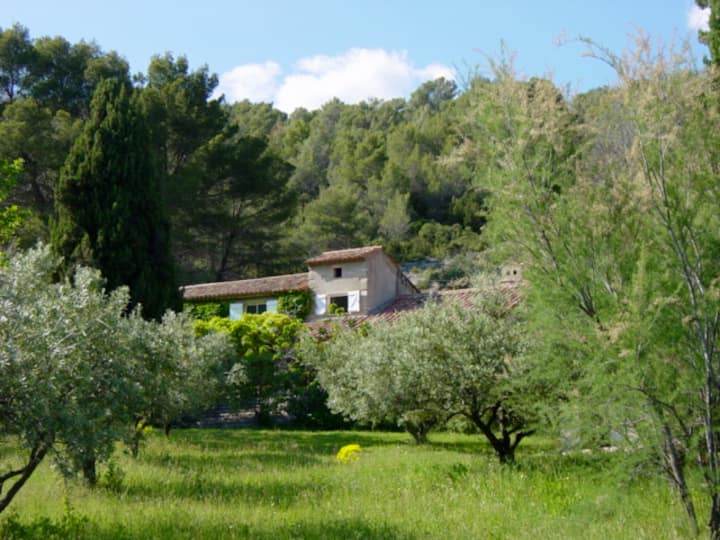 Farmhouse In Provence With Big Pool - Aups