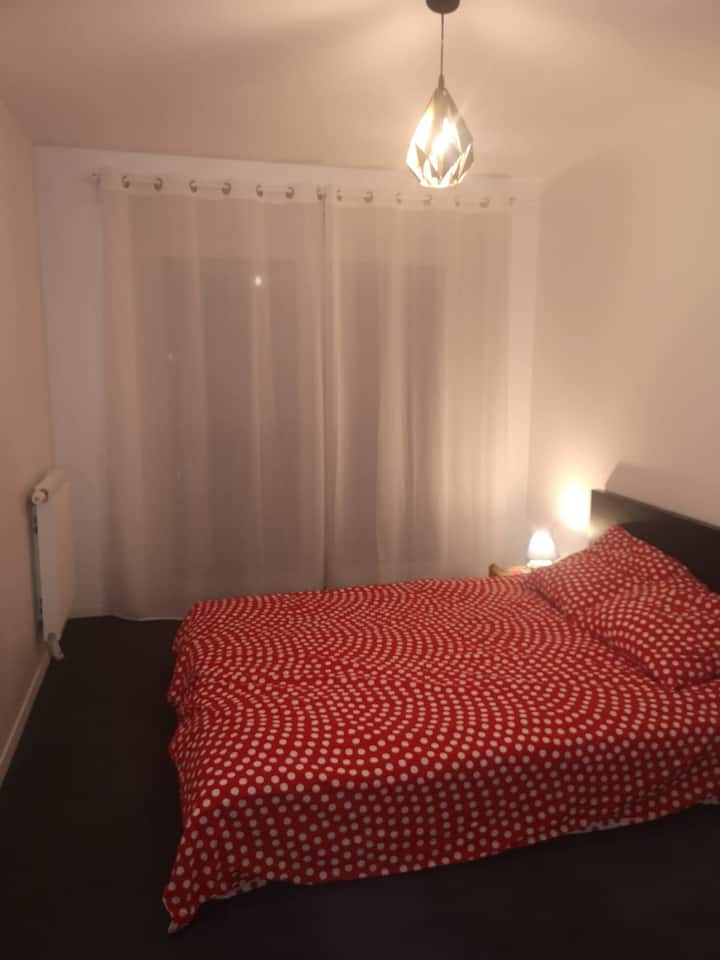 Bel Appartement Deux Chambres, Balcon, Parking. - Lilla