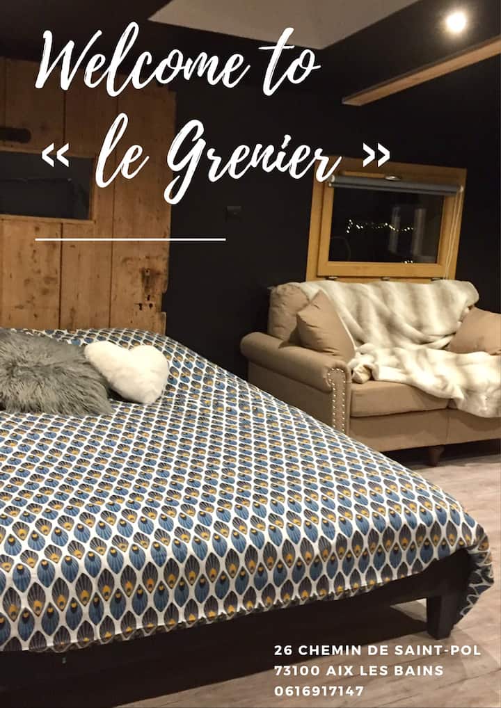 ❤️ « Le Grenier » Idéal Cure Prix Tcc! ❤️ - Aix-les-Bains