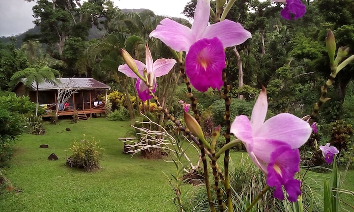 Bobo's Farm - Fiji