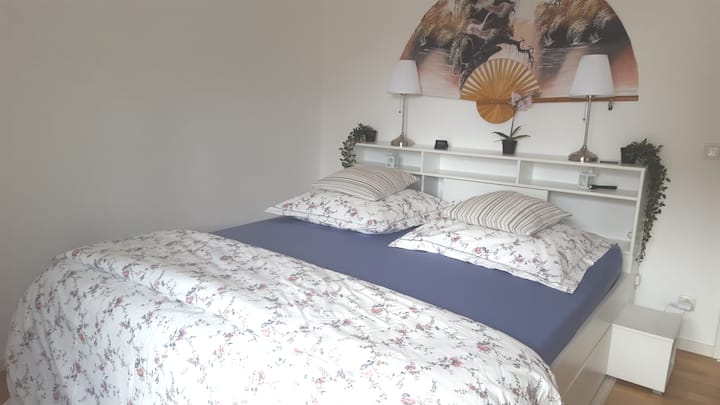 Cosy 2-room Apartment In Heidelbeg - Heidelberg