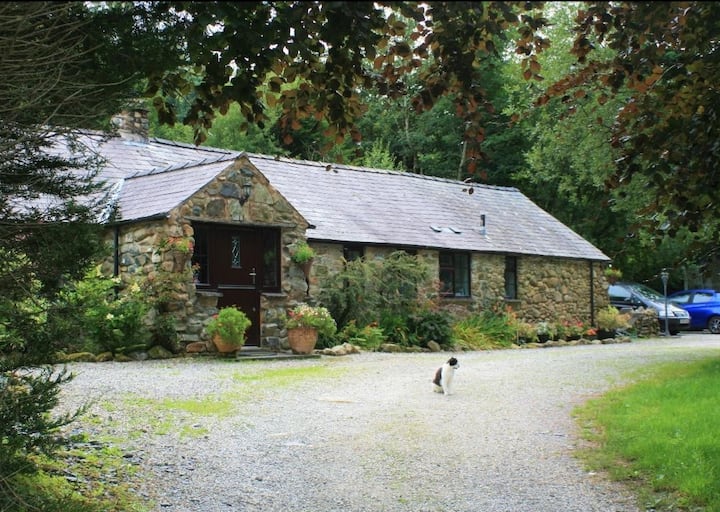 Ty Coch - Beddgelert