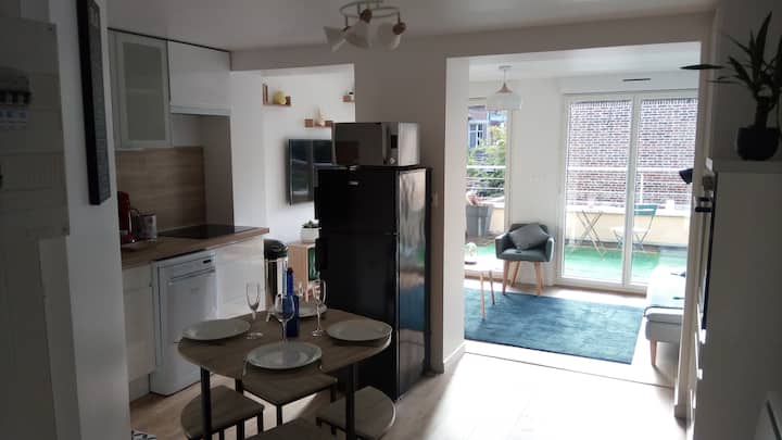 Une Terrasse En Ville - Bel Appartement Henriville - Amiens