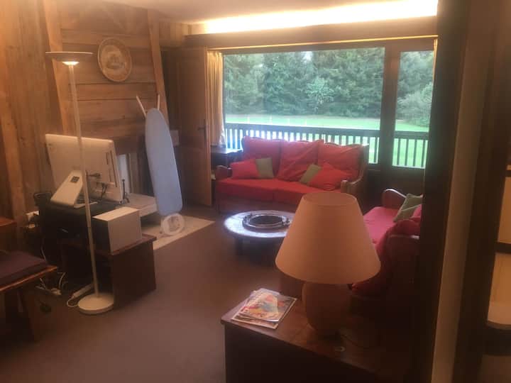 Appartement Megève - Mont D'arbois - メジェーヴ