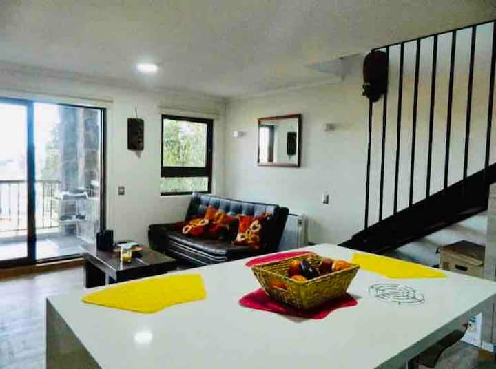 Fantastico Duplex Amoblado - Puerto Varas