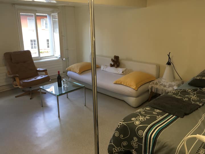 Switzerland House Rentals | Apartment and House Rentals | Airbnb