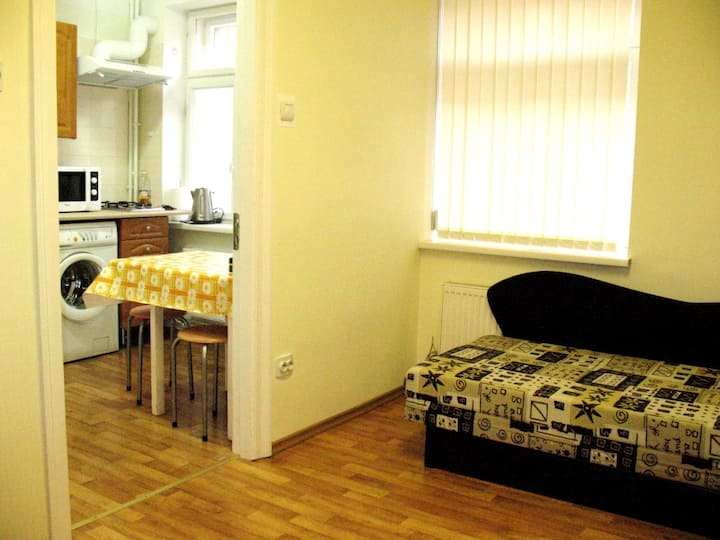 Mini 2 Rooms Apt In Riga Centre, Discount - Riga