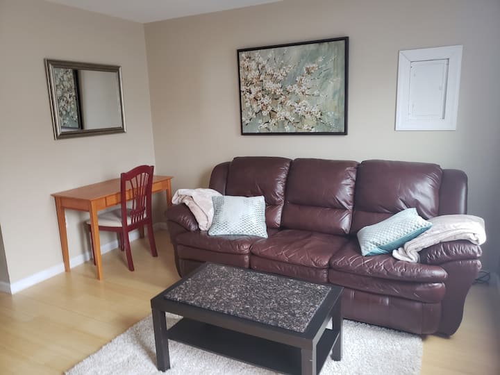 Quiet And Clean Apartment In Elmira Heights - Elmira, NY