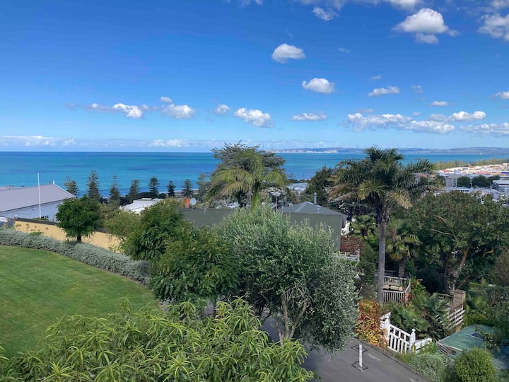 Bluff Landing - Napier