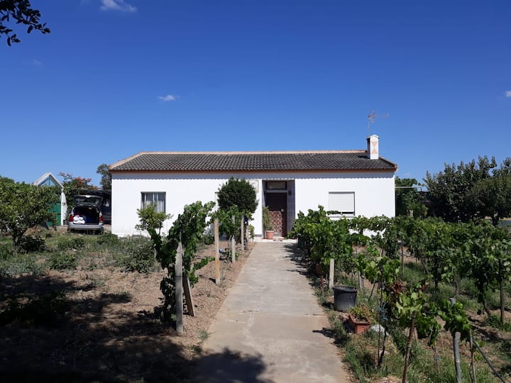 Casa Machado - Mértola