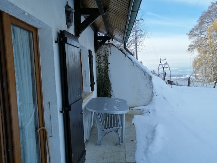 Le Petit Paradis Du Chalet Perce-neige - Vevey