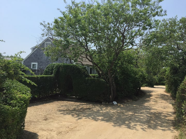 Island Remedy - Nantucket, MA