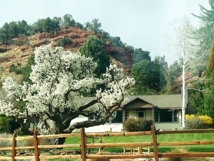 Private/family/views/dogs/420/hot Tub - Glenwood Springs, CO