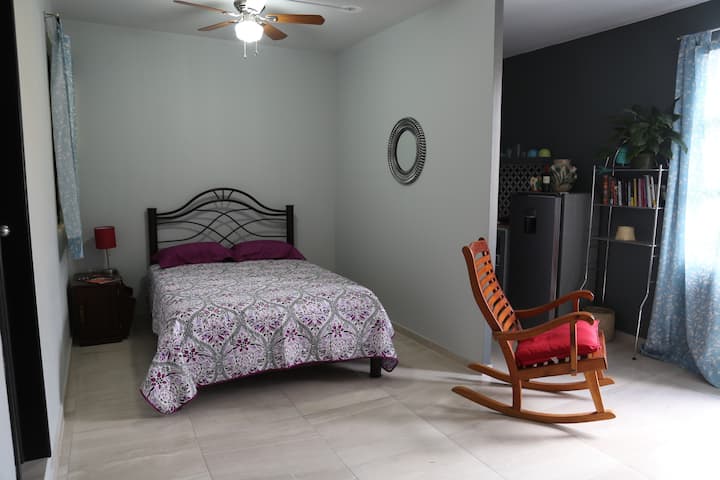 New, Sunny Loft Apartment In The Historic Center. - Mexico