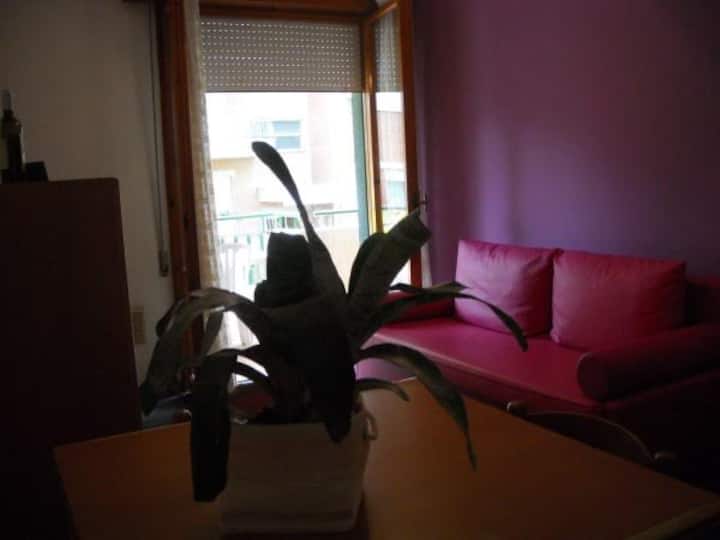 Appartamento Bilocale Classic - Bellaria-Igea Marina