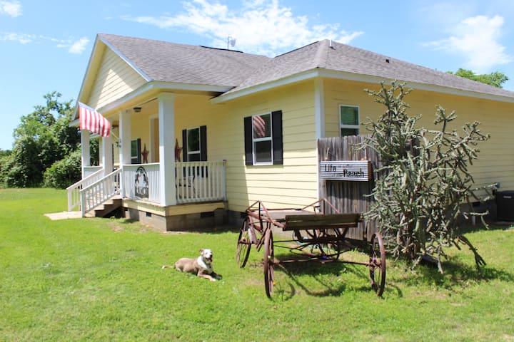 Yellow Ranch Cottage Ranch Style House High Res Vector Graphic Getty