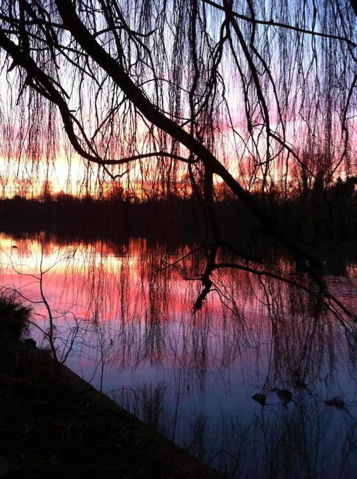 Site Classé Remarquable 135m2 700 Mètres Gare Rer - Rueil-Malmaison