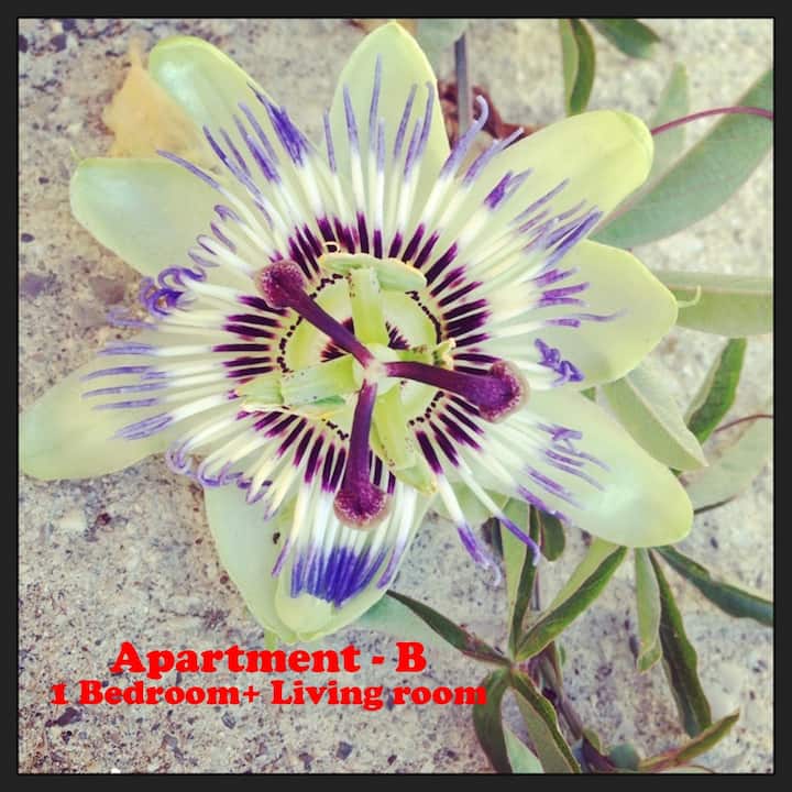 Apartment ''Mi'' - B - Hvar