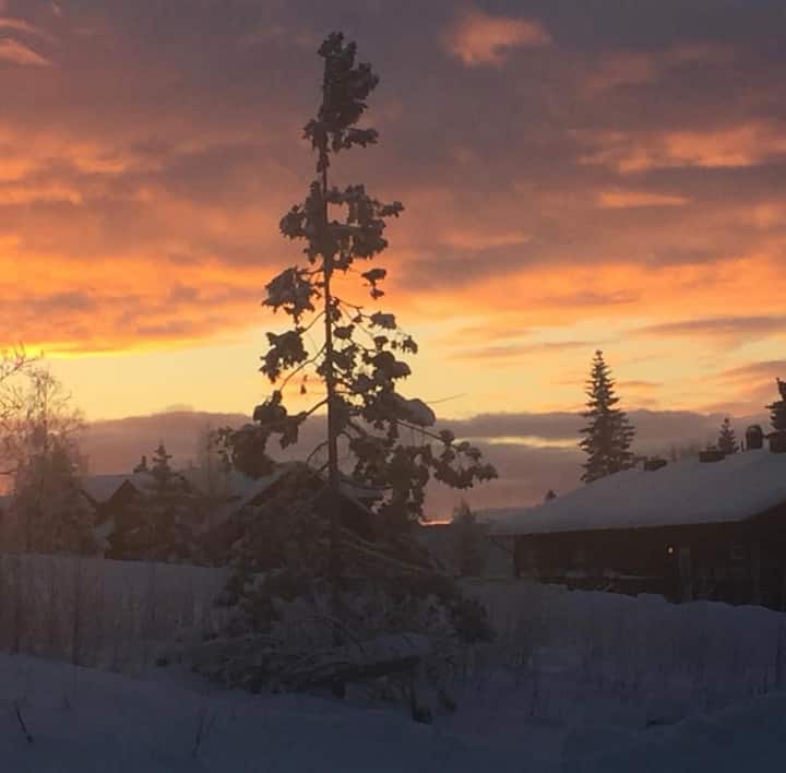 Sadeln Ski In Ski Out 8 Bäddar - Sweden