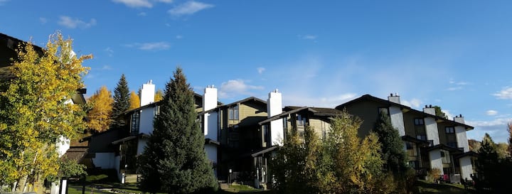 Steamboat Springs Ski Loft Cozy Fireplace Green Zo - Steamboat Springs, CO