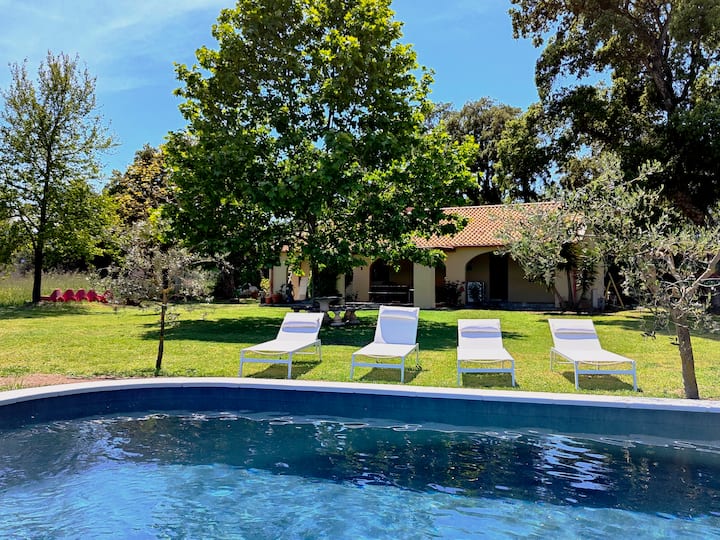 Villa Avec Piscine Dans Domaine Agricole - Biguglia