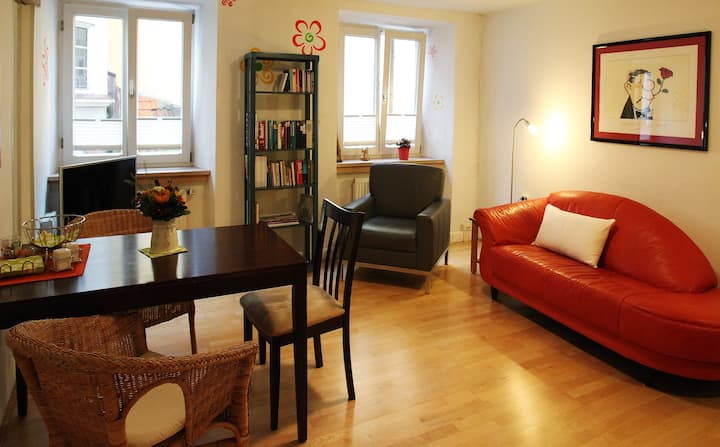 Hübsche Wohnung In Der Innenstadt - Landshut
