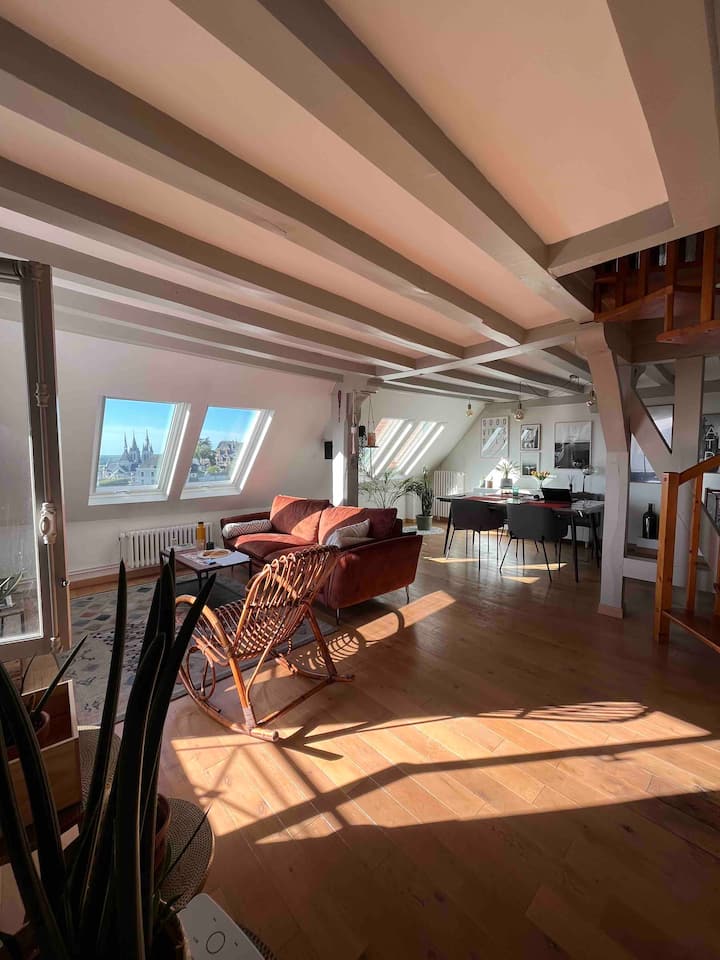 Chambre Dans Duplex Avec Vue Unique Sur La Loire - Loir-et-Cher