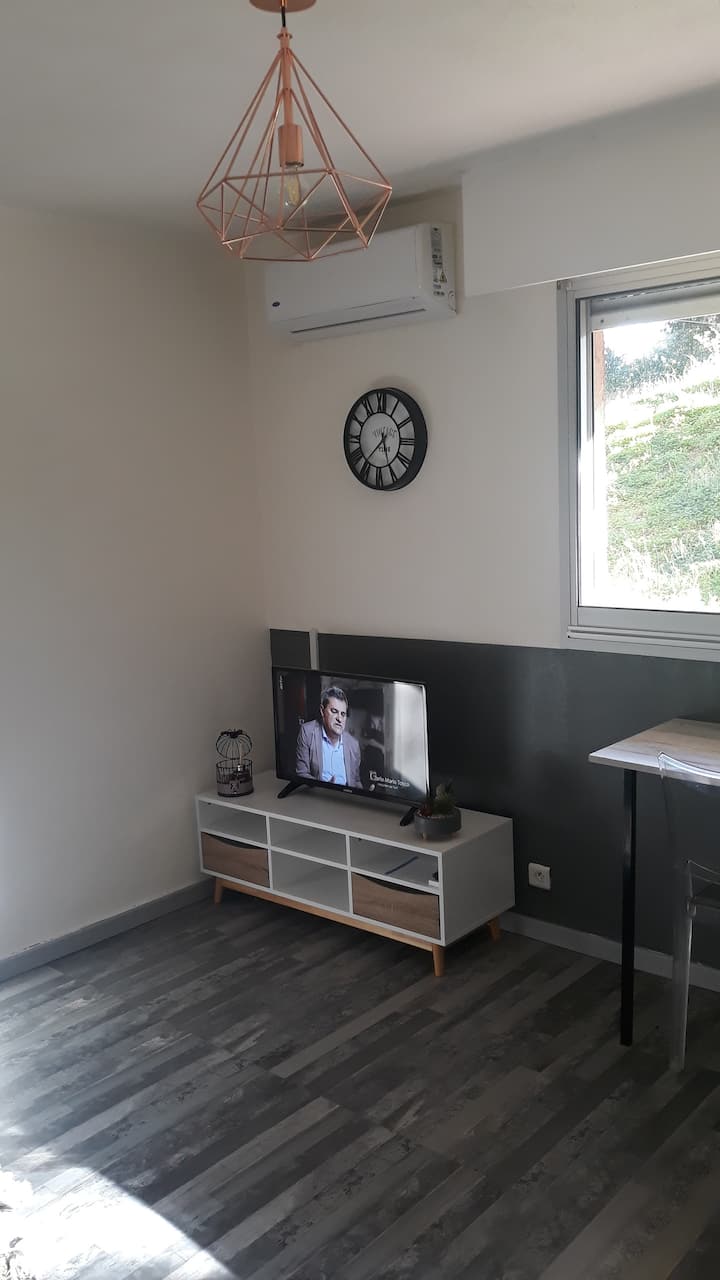 Joli Appartement Climatisé Avec Parking Gratuit - Bastia