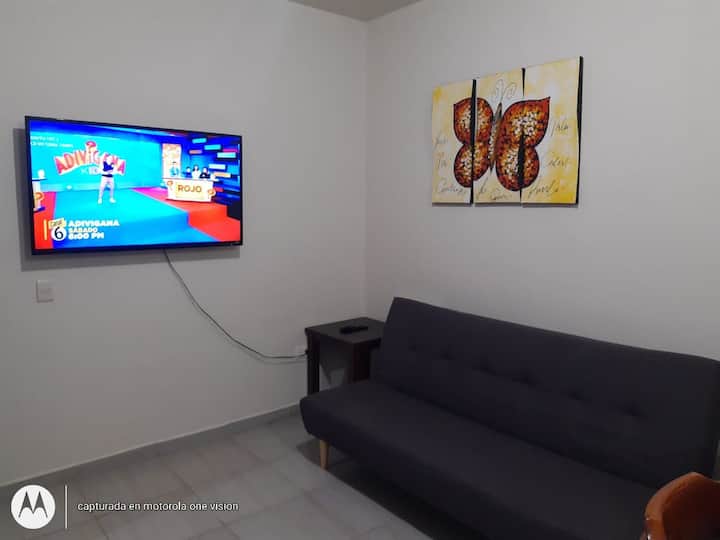 Bonito Y Cómodo Departamento Con Terraza. - Ciudad Victoria