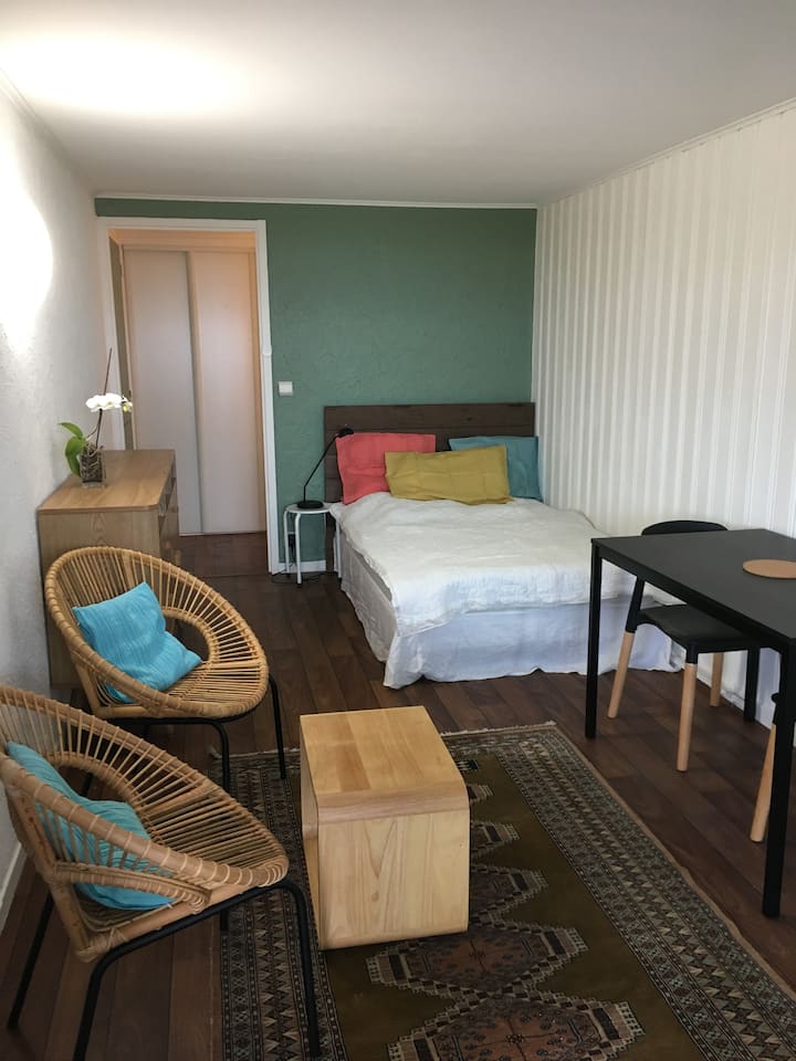 Studio Avec Jolie Vue Sur Le Lac - Talloires-Montmin