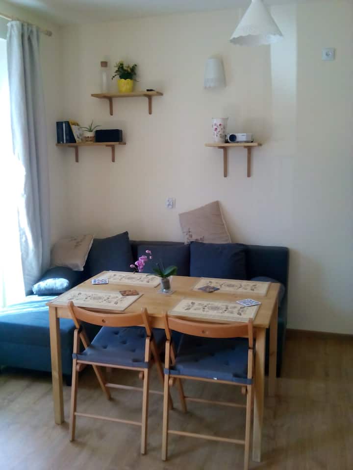 Nice Flat - Close City Center/niedaleko Centrum - Wrocław