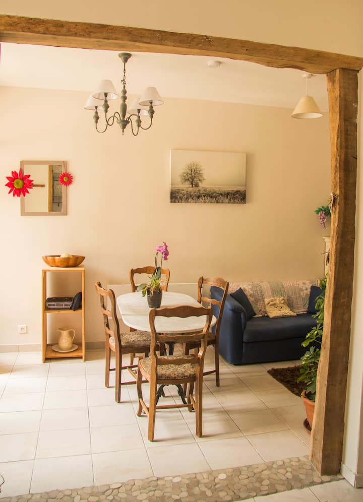 Ground Floor Delightful Apartment - Menthon-Saint-Bernard