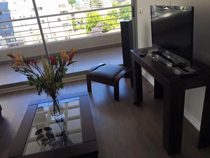 Appartement Dans La Meilleure Zone De Viña - Valparaíso
