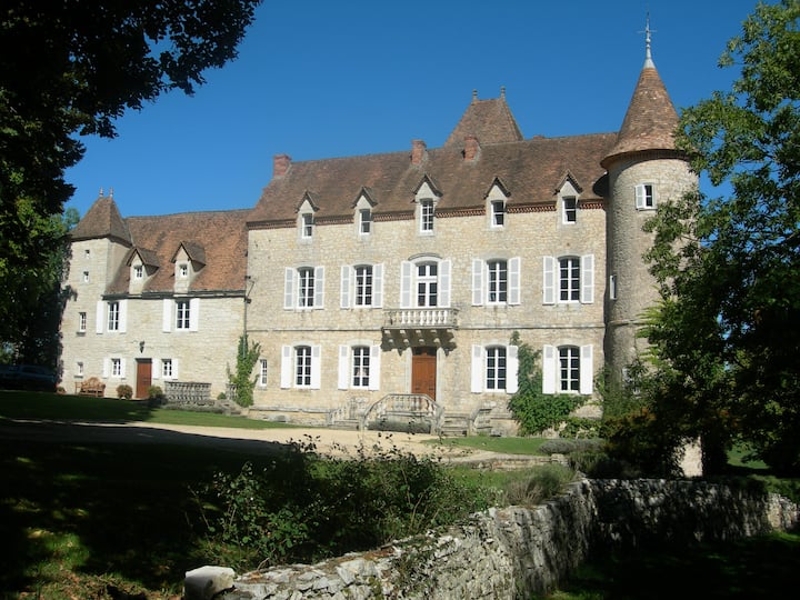 Chateau De Lamostonie - Lot