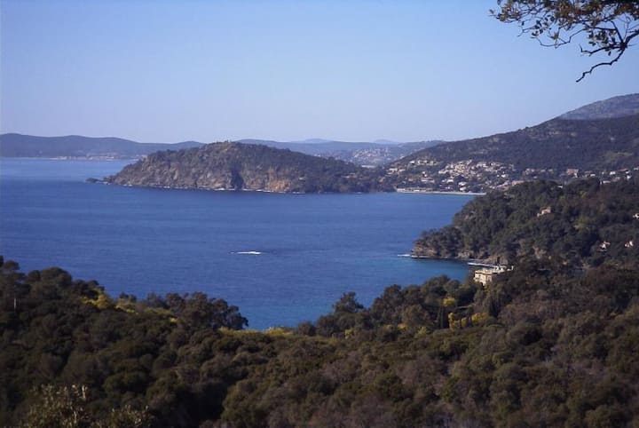 Studio Le Lavandou Pramousquier 100m Plage -