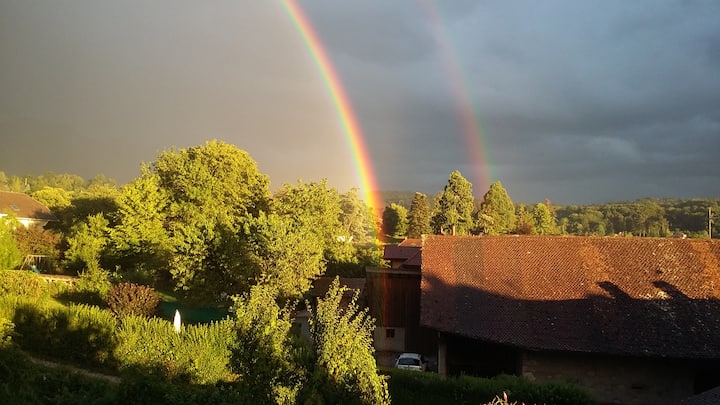 Vue Magnifique Sur Montagnes Au Coeur Du Village - Menthon-Saint-Bernard