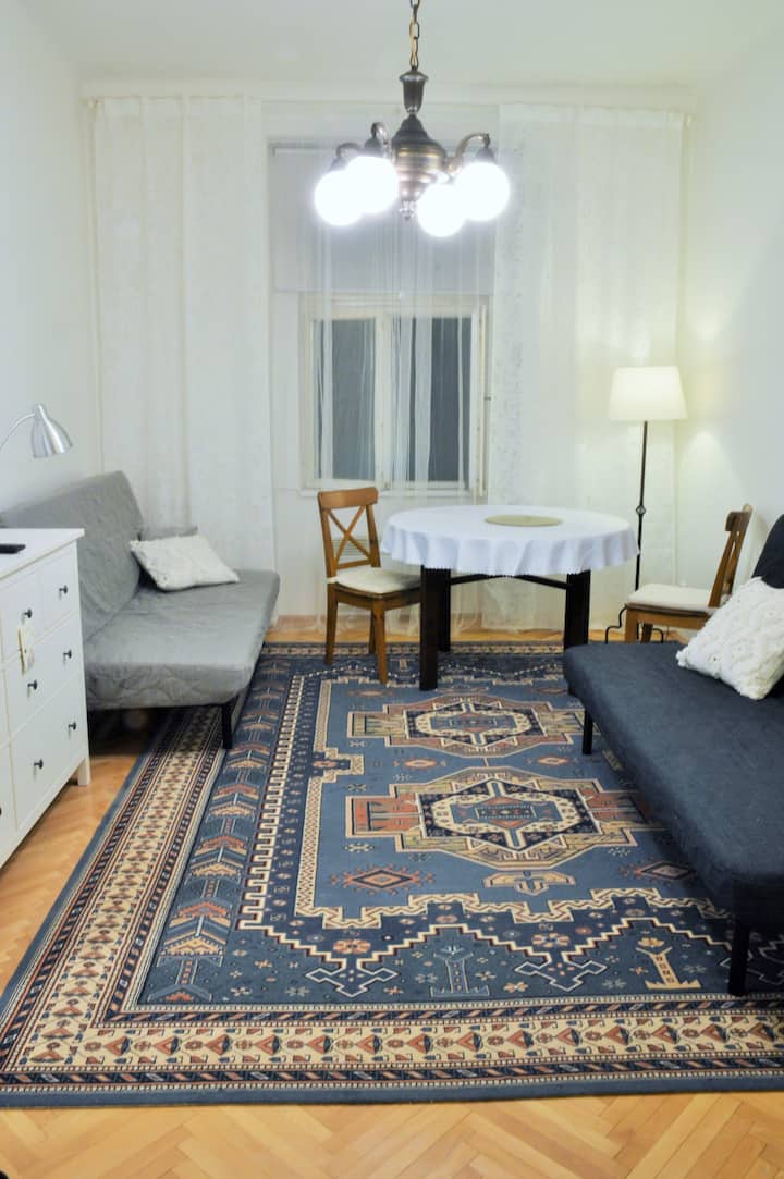 Unique & Calm, ŽIžkov, 2bdr, 54 M2 - Prague