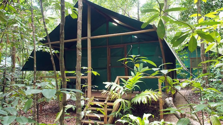 Daintree Crocodylus - Rainforest Bungalows - Daintree