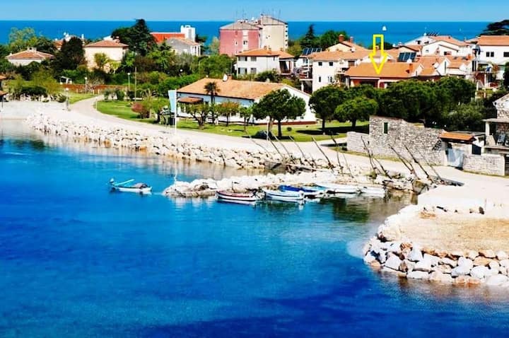 Studio Summer Melody - Umag